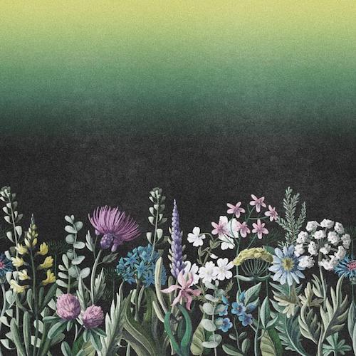 [song] Spector – Country Boy – Acute Pop